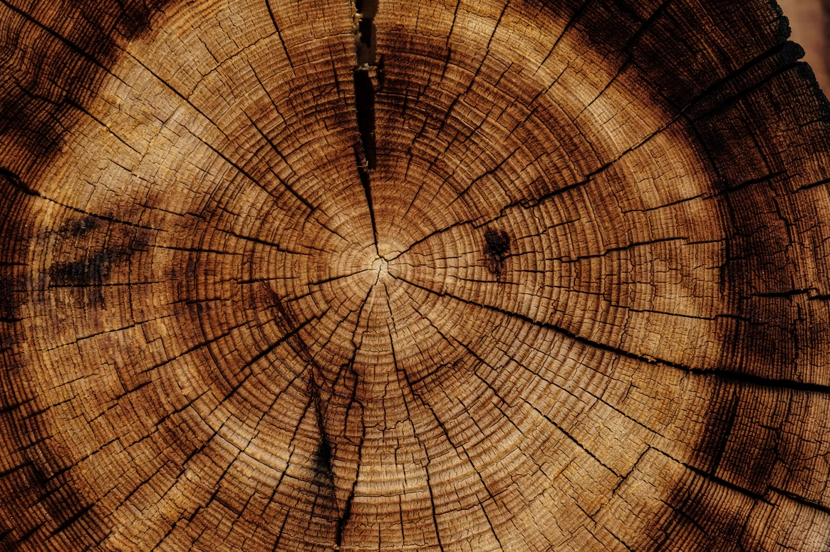 15 Tips on How Interior Designers Combat Climate Change