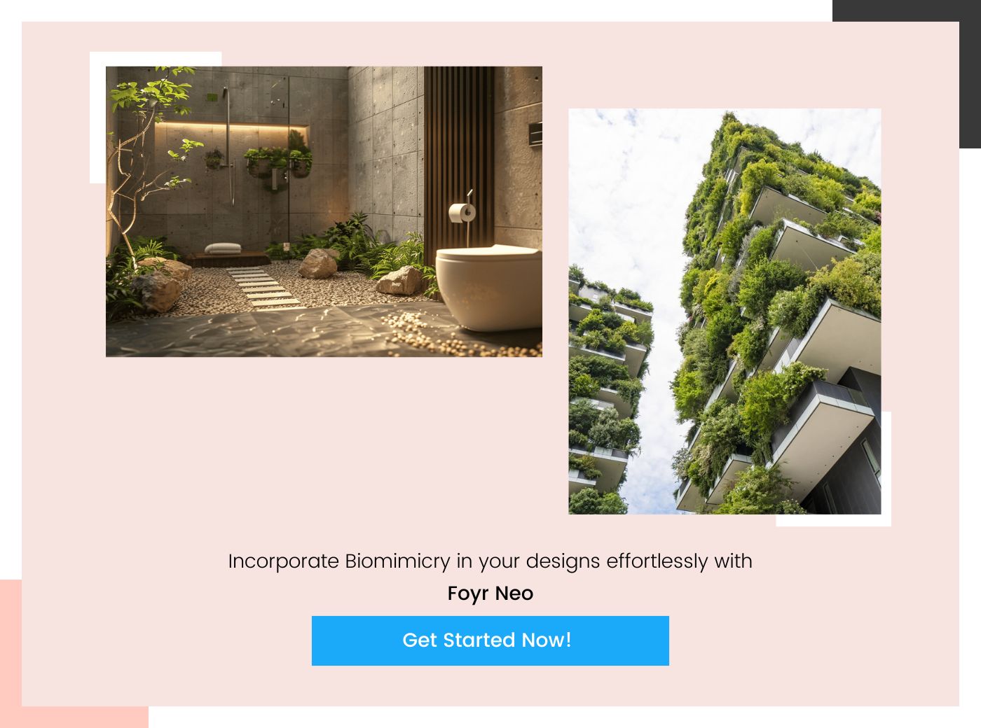 10 Examples of Biomimicry in Architecture & Interior Design